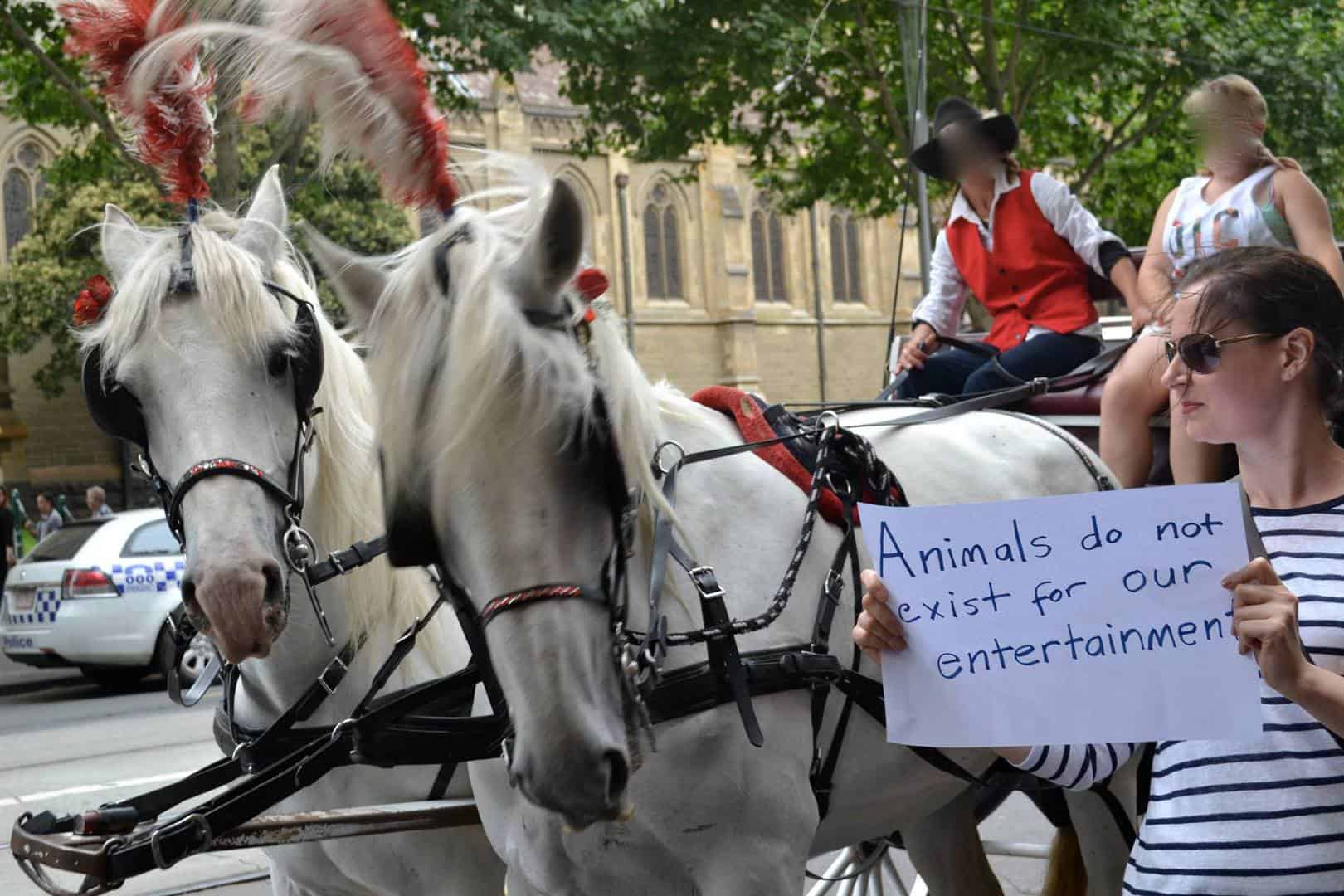 Vegan Rising | HORSES USED TO PULL CARRIAGES